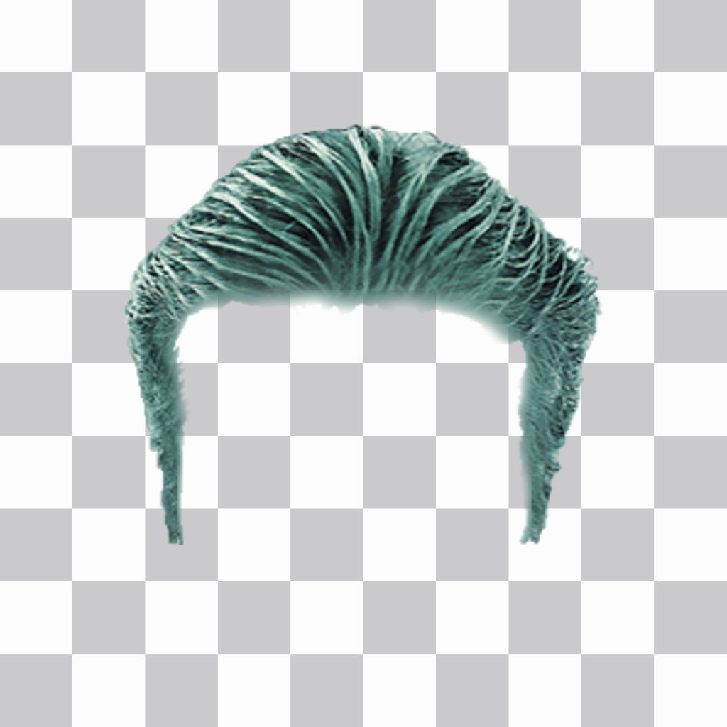 Fotomontajes para poner pelucas hombre online - Fotoefectos